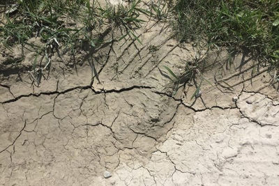 Expansive Soils 101: Everything You Need to Know - Innovative Basement ...