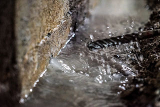 High Water Table: What It Means for Your Basement and Yard - Foundation ...