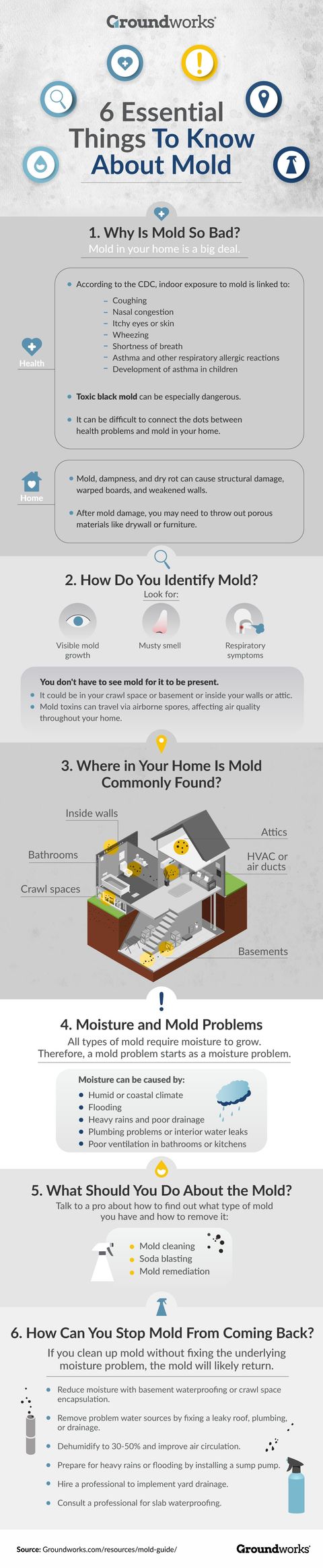 The Ultimate Guide to Mold in your Home
