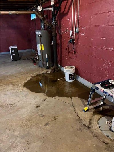 Basement Drainage System Guide: Everything You Need to Know