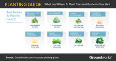 planting trees guide