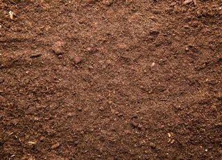 Understanding Soil and Water: Silt vs Clay, Silt vs Sand
