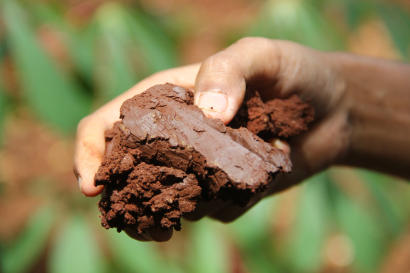 smectite clay soil